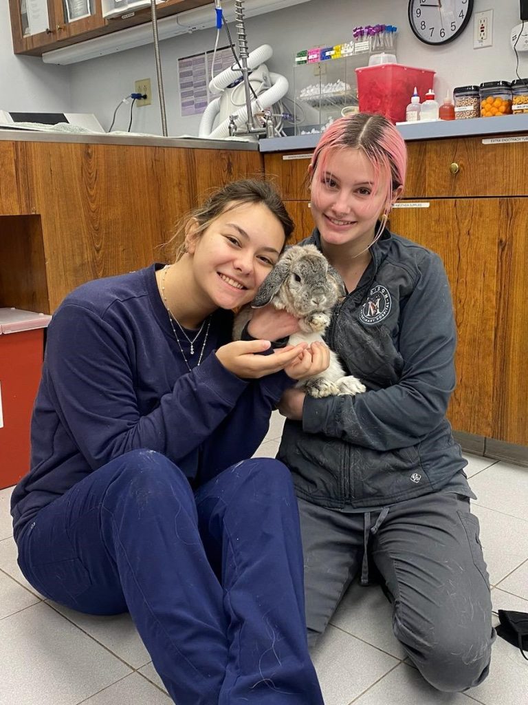 Join Our Team | Madison Veterinary Hospital